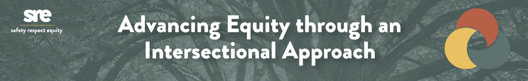 Advancing Equity through an Intersectional Approach - SRE Network ...